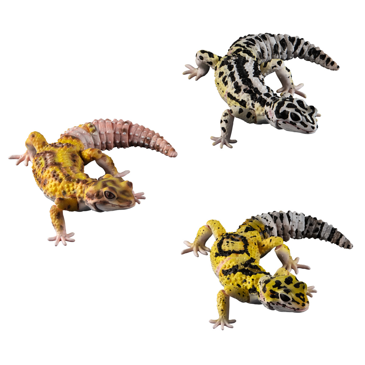 ADVANCE LEOPARD GECKO 3PCS SET | PREMIUM BANDAI 台灣【官方】銷售日本最受歡迎的動漫周邊、模型玩具