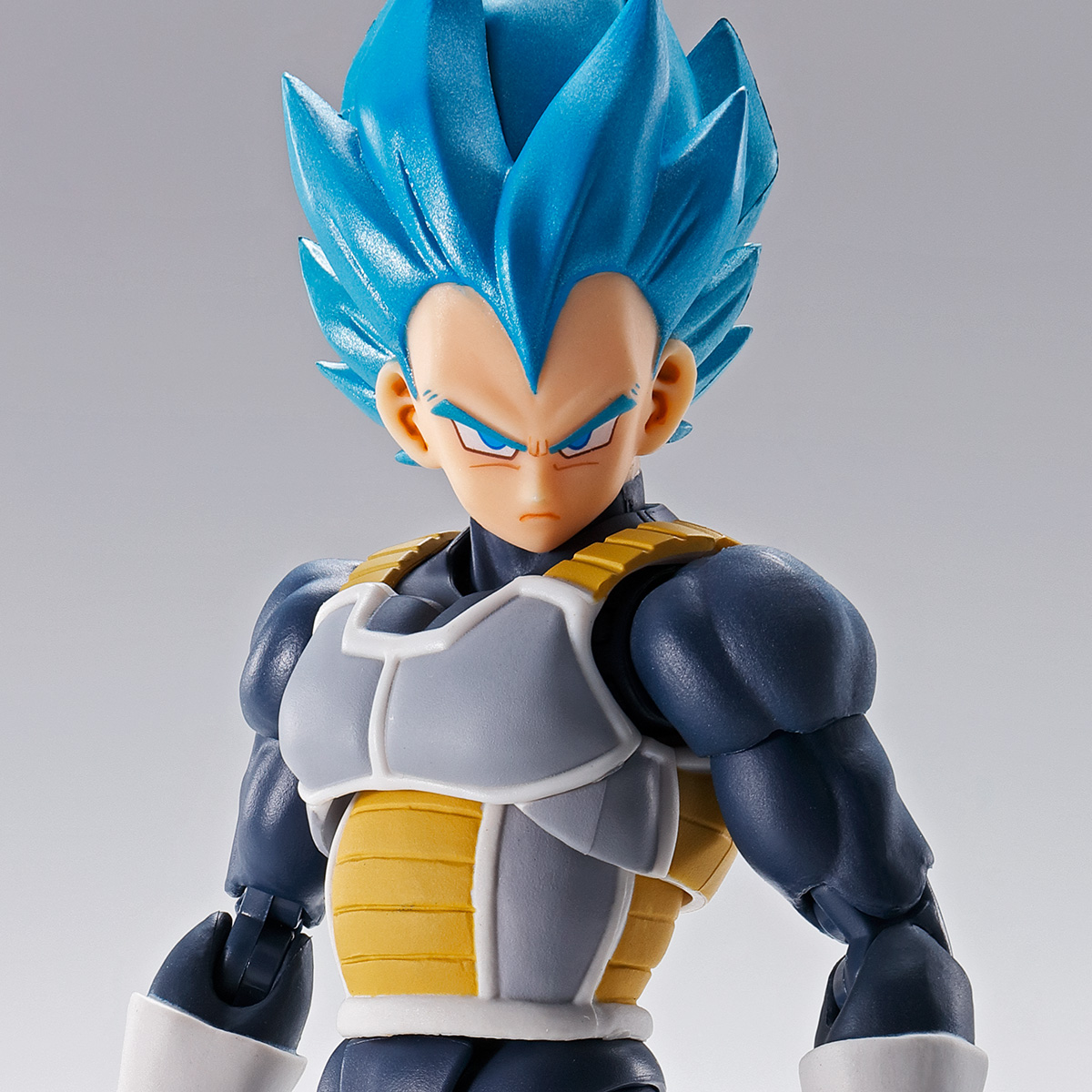 S.H.Figuarts SUPER SAIYAN GOD SUPER SAIYAN VEGETA -SUPER- -S.H.Figuarts 15th anniversary Ver ...