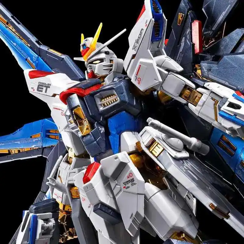RG 1/144 STRIKE FREEDOM GUNDAM[TITANIUM FINISH] | GUNDAM | PREMIUM ...