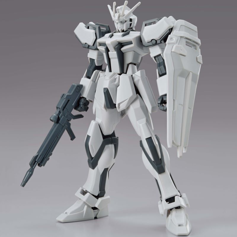 ENTRY GRADE 1/144 THE GUNDAM BASE LIMITED STRIKE GUNDAM [PAINTING MODEL ...